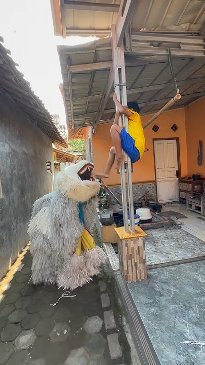 Bocil ff dikejar can macanan sampai manjat tiang - YouTube