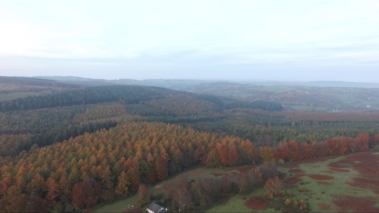 Grey Hill , Wentwood , Wales uk , DJI Phantom 3 , Eye in the sky ...