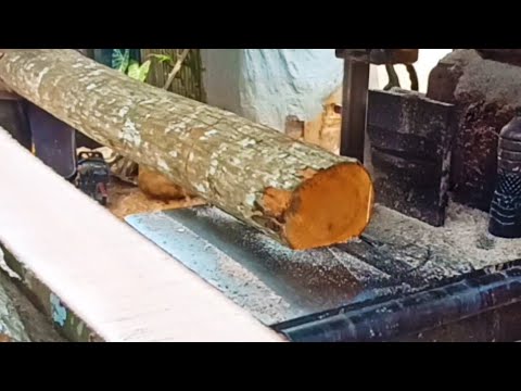 Amazing,,tak ada yang terbuang pengolahan kayu di sawmill - YouTube
