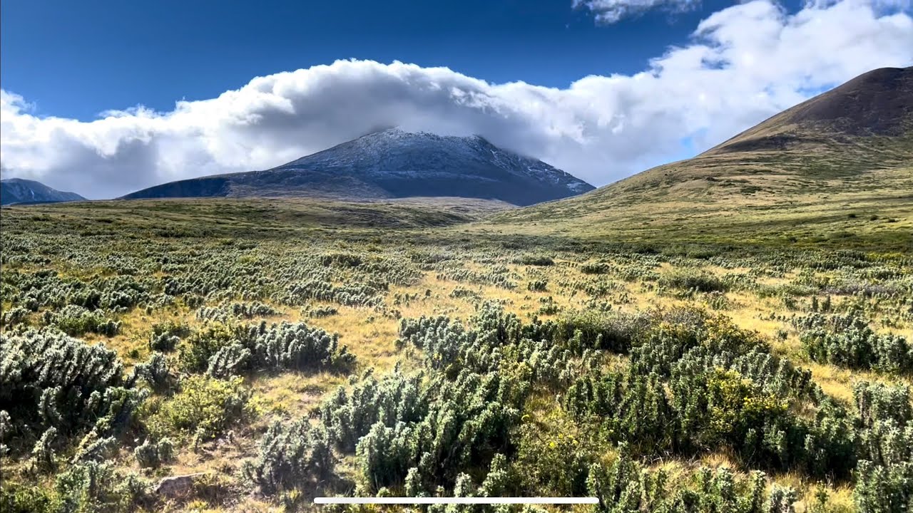 Otgontenger peak of the Khangai mountains - YouTube