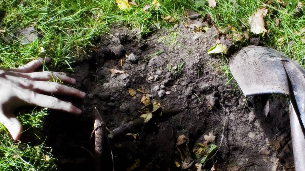 Mr. Henderson - Official Trailer - YouTube