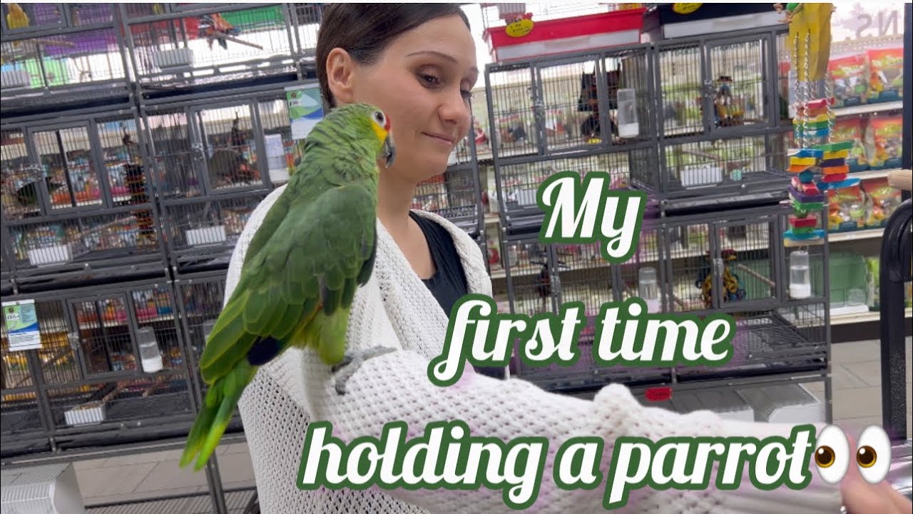 Exploring an Exotic Bird Shop! | Colorful Parrots, Rare Birds & More ...