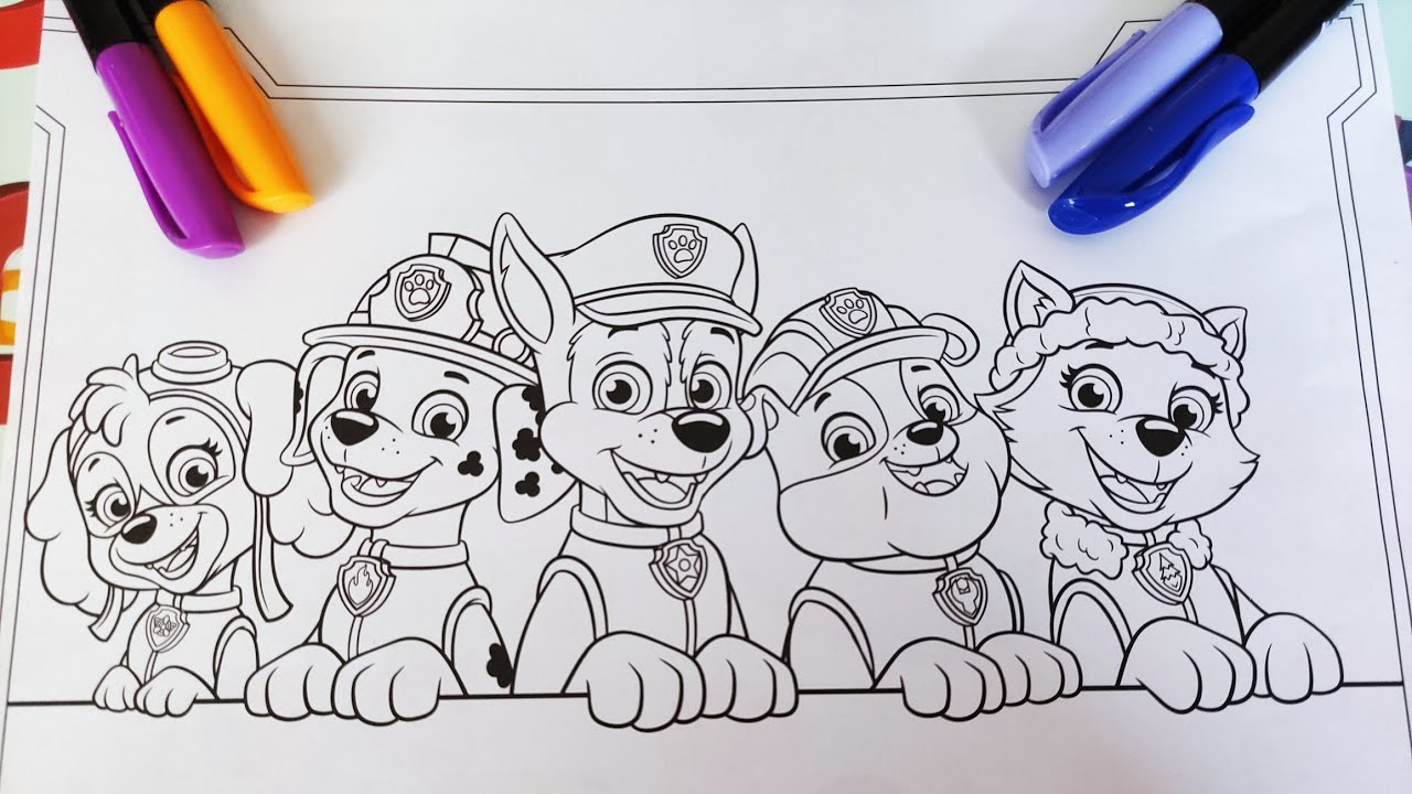 TOUTE L'ÉQUIPE DE PAT'PATROUILLE CHASE,STELLA,MARCUS,RUBEN, EVEREST COLORIAGE DESSIN ANIMÉ 🖍️ ...