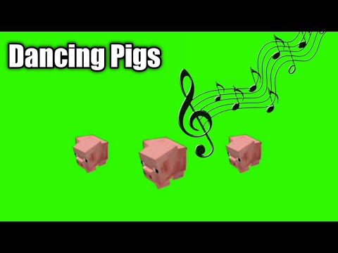 Dancing minecraft pig - Green screen - YouTube