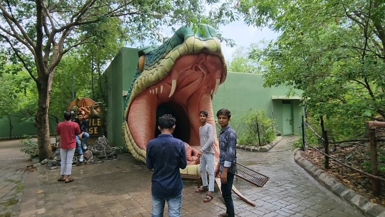 साप का वीडियो | Sap Ka Video | Real Snake - YouTube