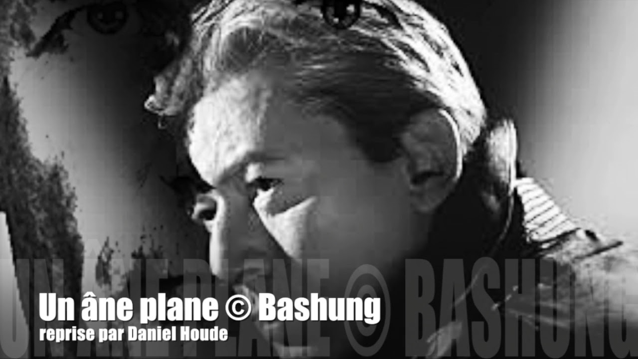 Un âne plane © Bashung reprise par Daniel Houde (2) - YouTube