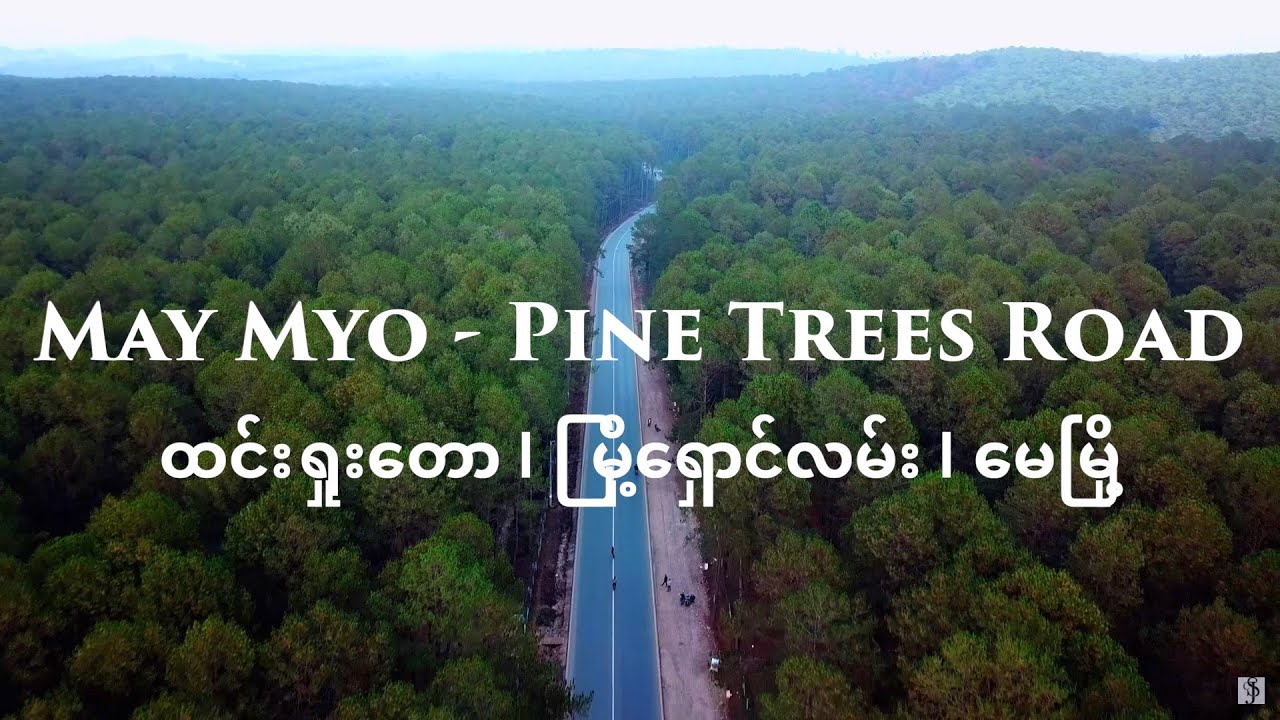 Visiting To Pine Trees Road May Myo, Pyin Oo Lwin | Mandalay Myanmar ...