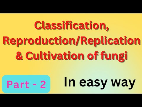 Classification,Reproduction/ Replication & Cultivation of fungi ll Part ...