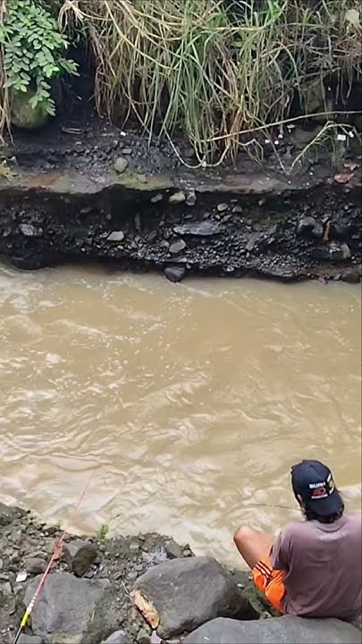 Mancing sore hari - YouTube