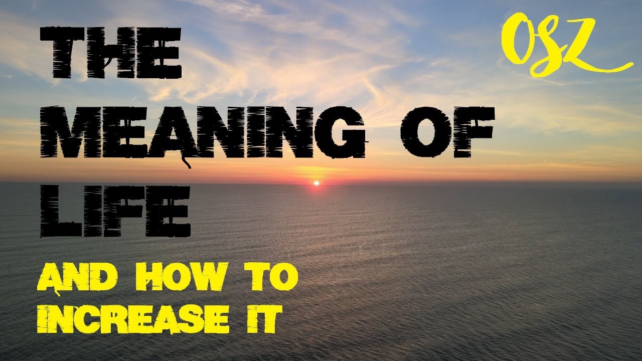 What is the Meaning of Life? How do I Make Life Meaningful? - YouTube