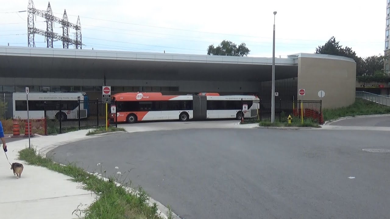 MiWay (Mississauga Transit) Action at Kipling Station - YouTube