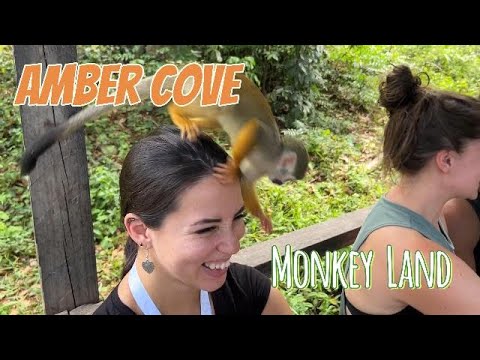 Carnival Mardi Gras Monkey Land - YouTube