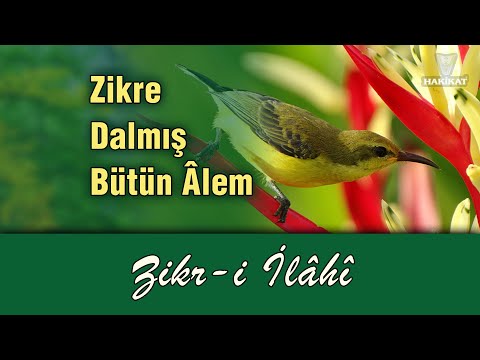 Zikre Dalmış Bütün Âlem, Zikr-i İlâhi, Hakikat Yayıncılık, Ömer Öngüt -Kuddise Sırruh-