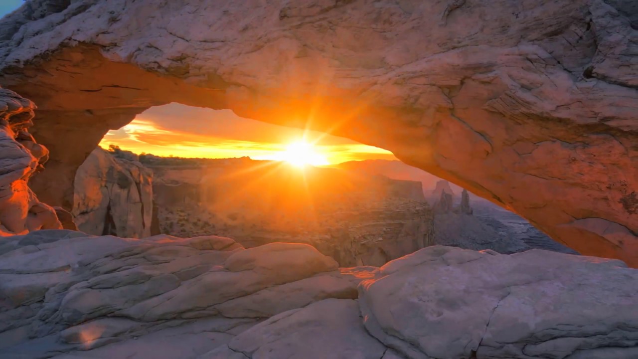 The Movements in Nature - YouTube