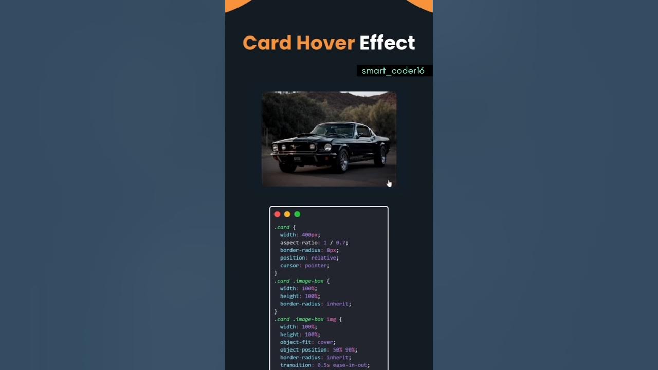 Card Hover Effect Csstutorial Css Youtube