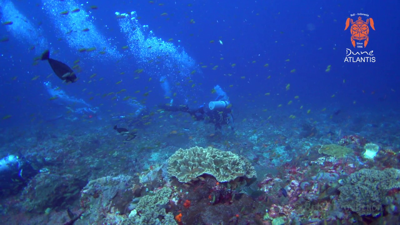 Atlantis Bali Diving in Crystal Bay (1 Nov 2016) - YouTube