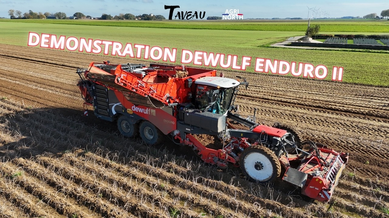 🔴🥔Démonstration Dewulf Enduro II | Établissement Taveau | Arrachage ...