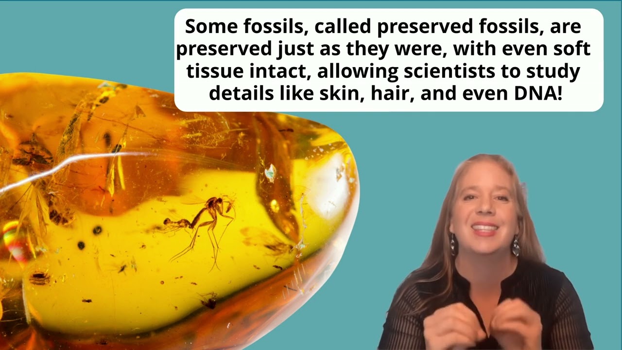 Home - Adventures in ISTEM