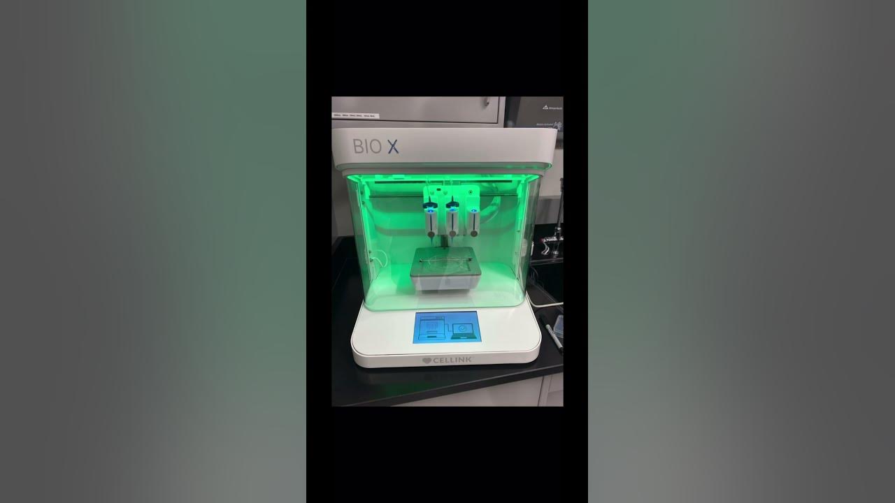 DIY 3D Bioprinting: Celllink GelMA Bioink and HAMA to Promote Angiogenesis - YouTube