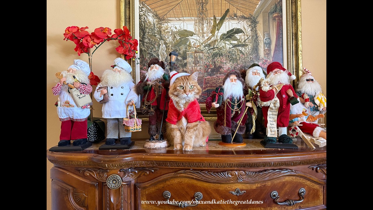 Funny Santa Cat Hangs Out With The Santas Counting Down To Christmas ...