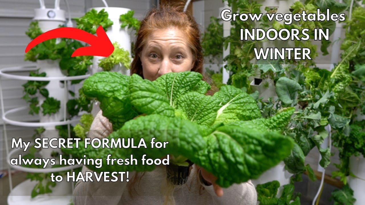 GROW VEGETABLES INDOORS in the WINTER. My SECRET FORMULA for always ...
