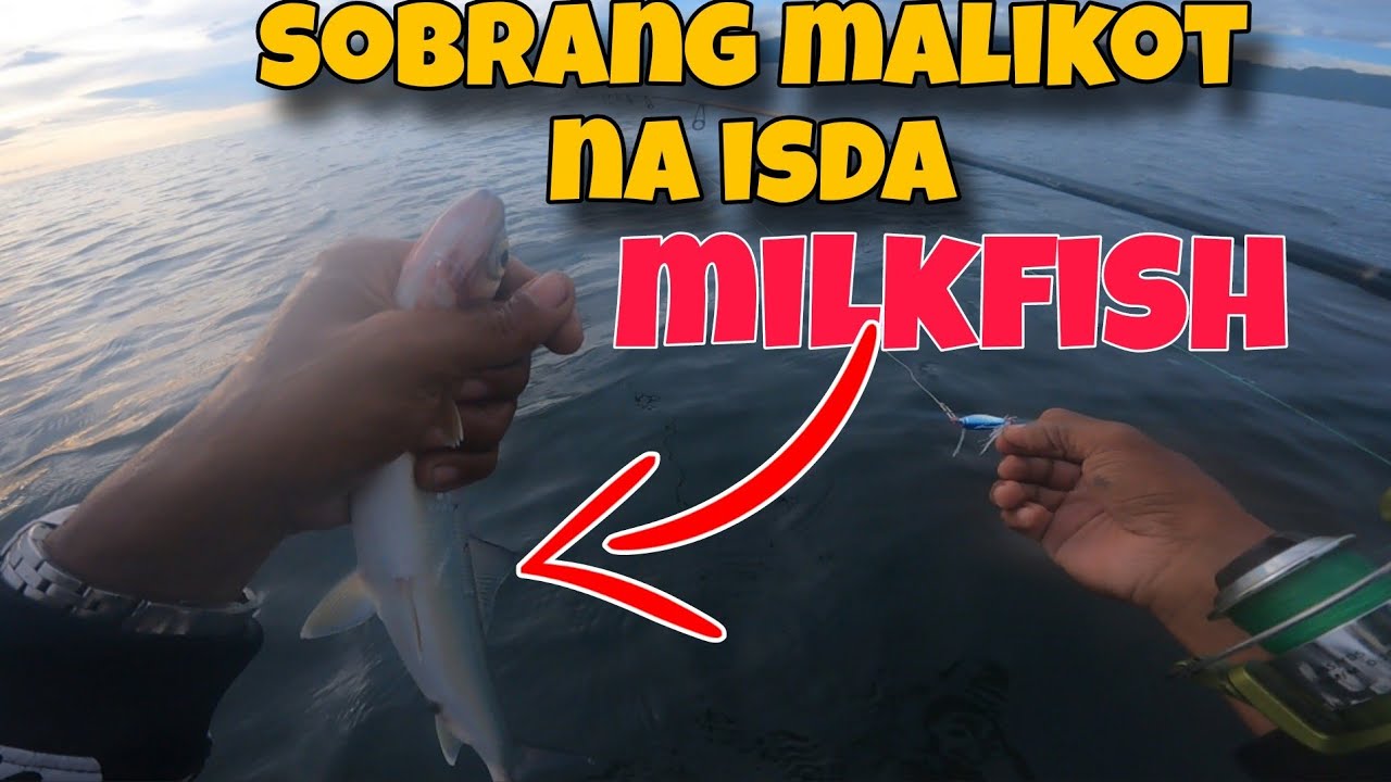 AWA-MILKFISH ISA SA PINAKA MAHERAP HULIHEN SA KAWEL 6 STRKE ISA LANG ...