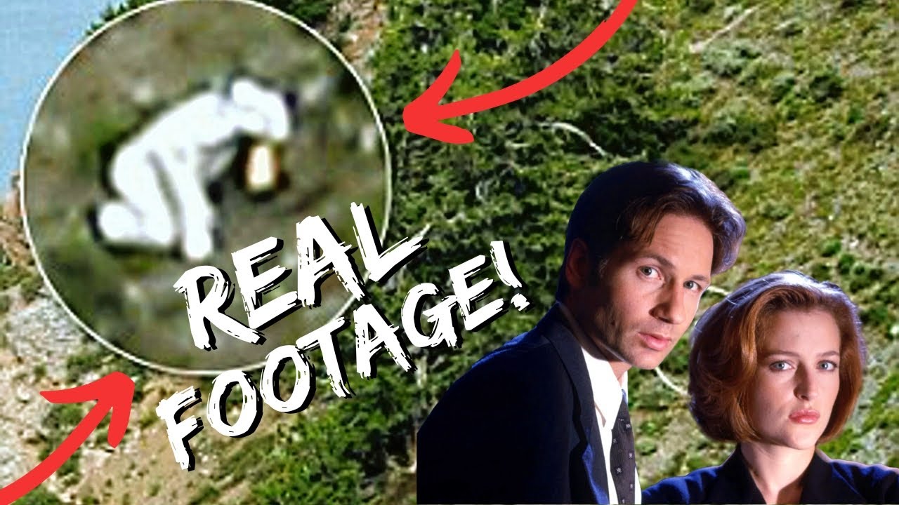 Top 7 Freakiest REAL Monsters Found In The United States - YouTube