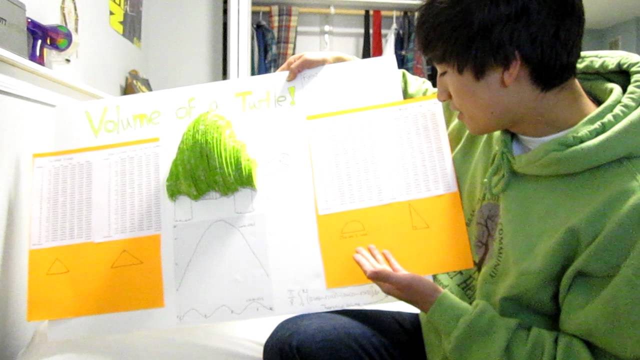 Volume of a Turtle Calculus Project - YouTube