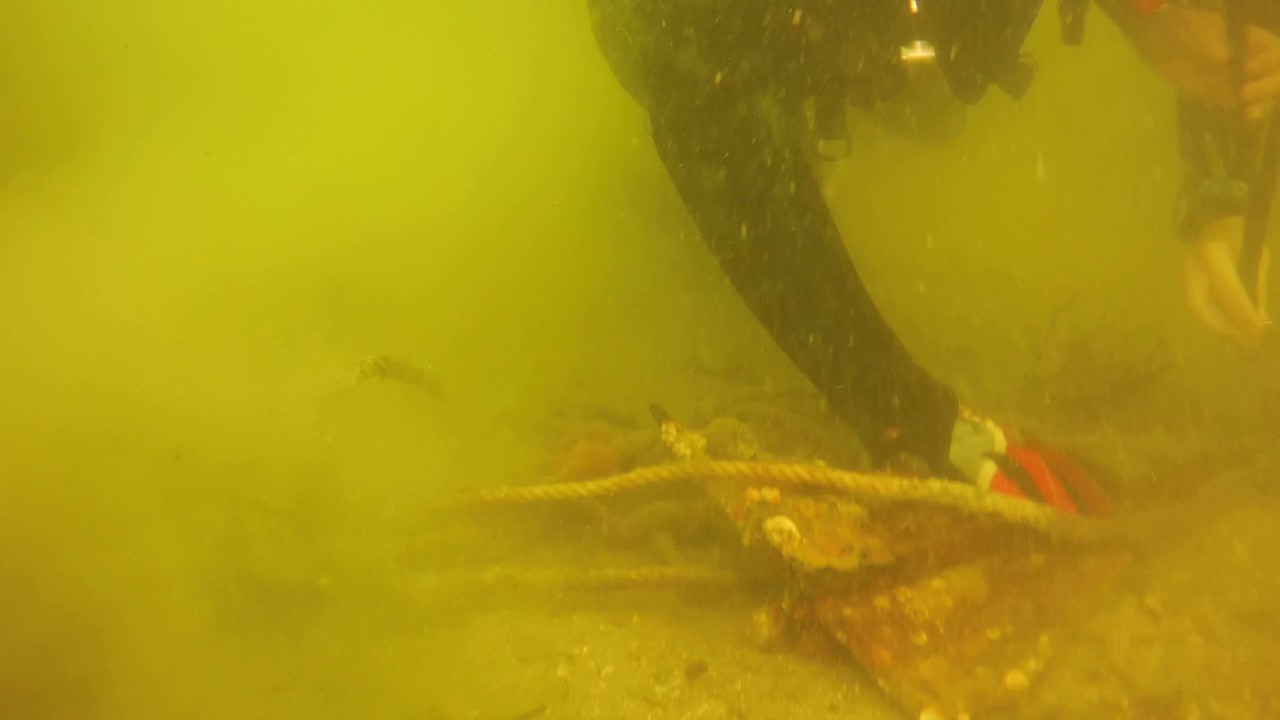 Scubi Jew Dive Against Debris in Tampa Bay - YouTube