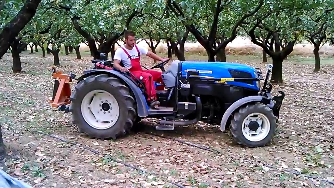 ΔΟΝΗΤΗΣ ΔΕΝΔΡΩΝ - YouTube