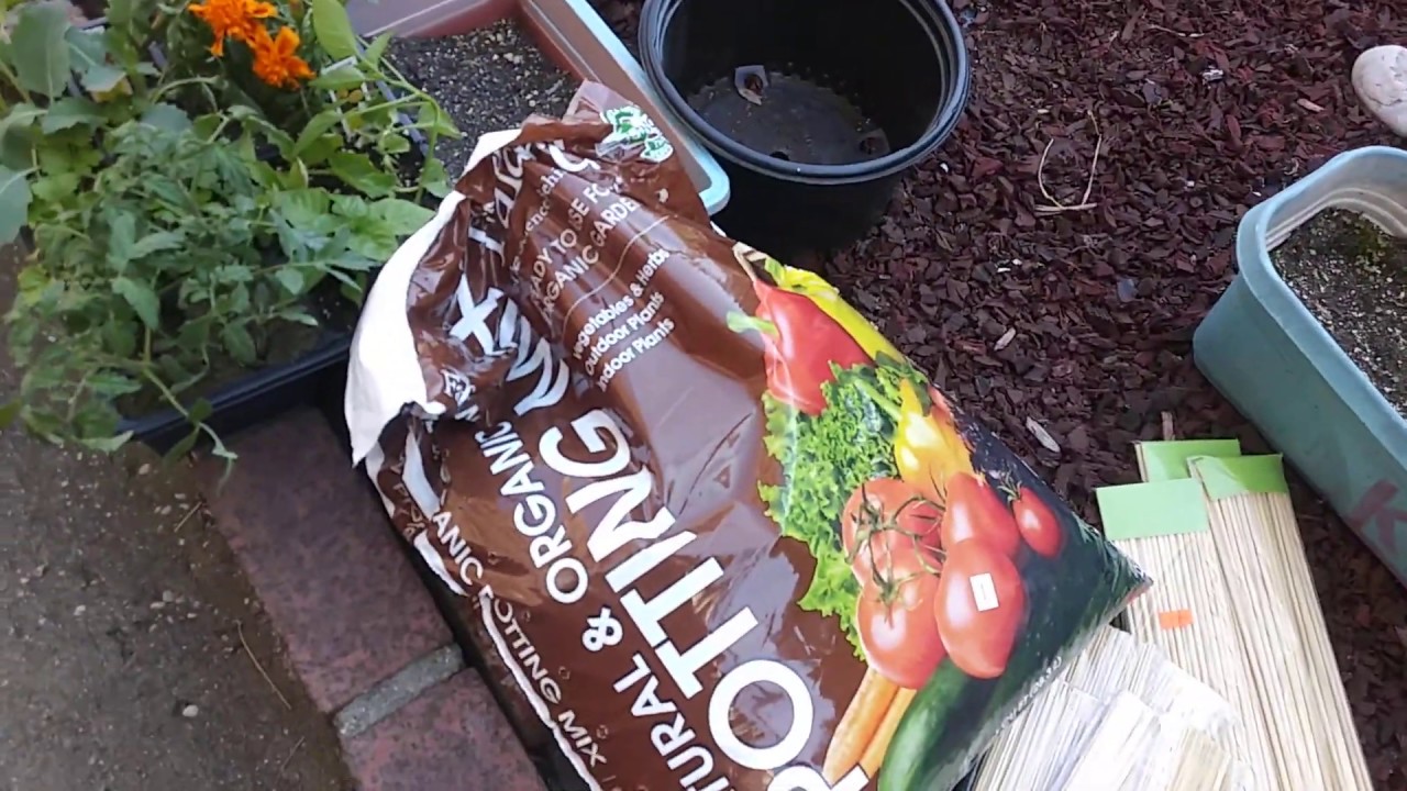 Container Gardening - Preparing the pots for planting - YouTube