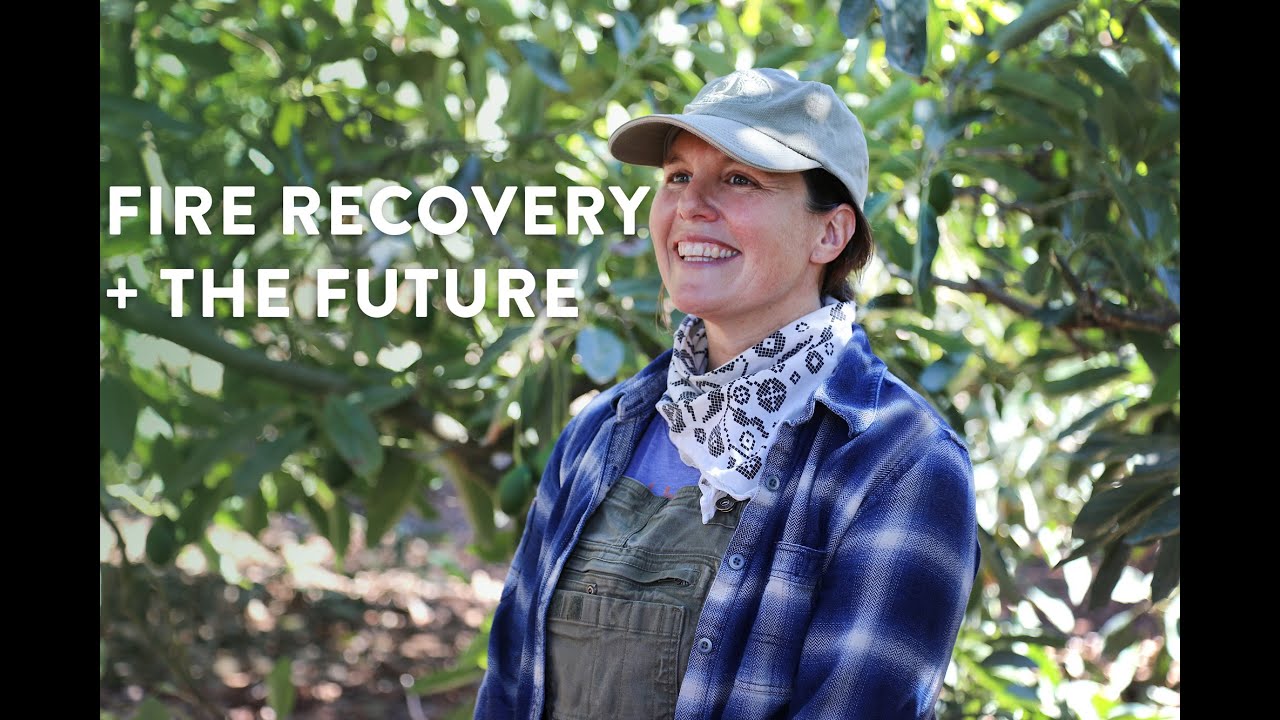 Meet California Avocado Grower Catherine Pinkerton Keeling - YouTube