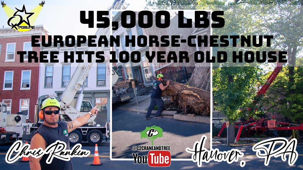 C2 Crane & Tree Service Hanover, PA for Emergency Tree Removal # ...