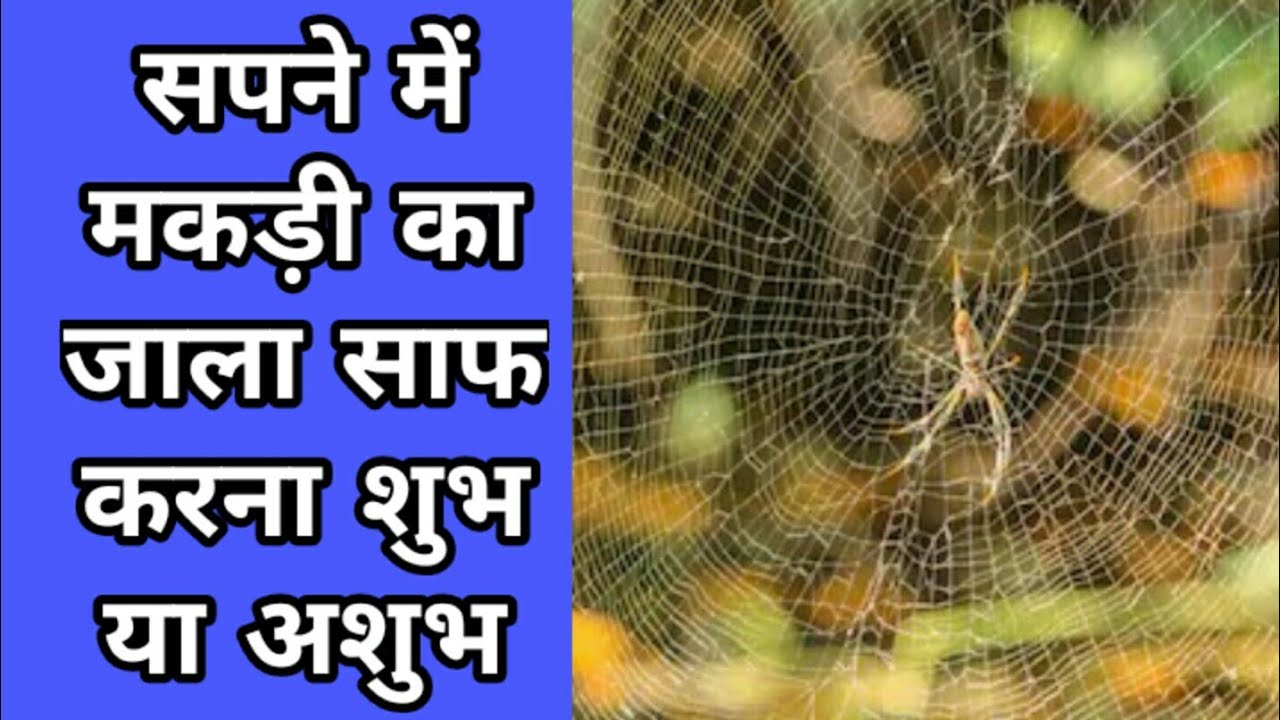 सपने में मकड़ी का जाला साफ करना, sapne me makdi ka jala saaf karna ...