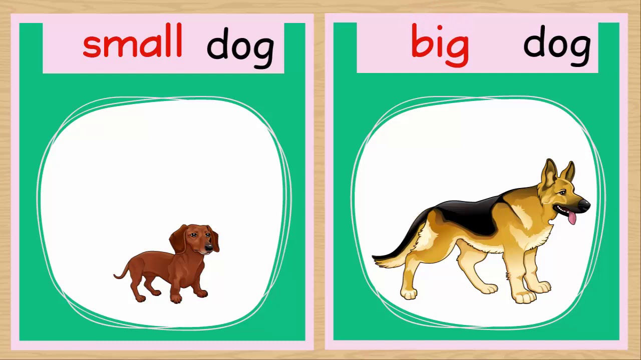 Grade 1 The Arts Small Big - YouTube