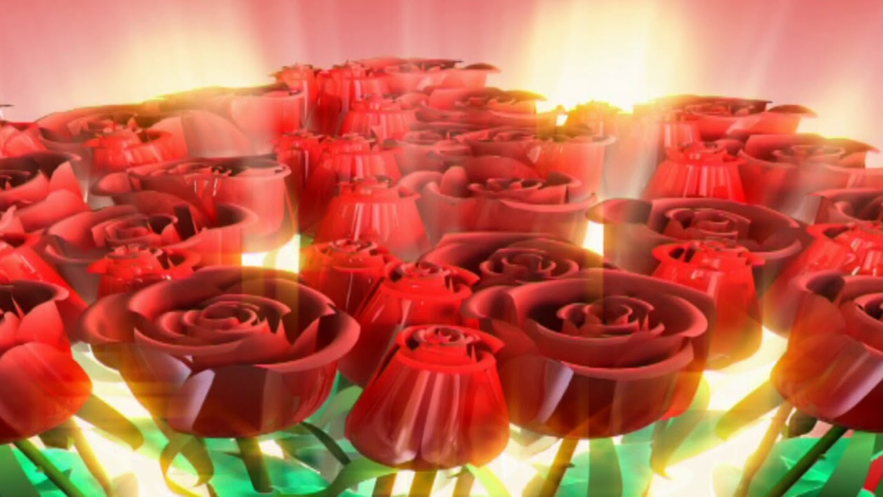 Video Background Full HD Roses - YouTube