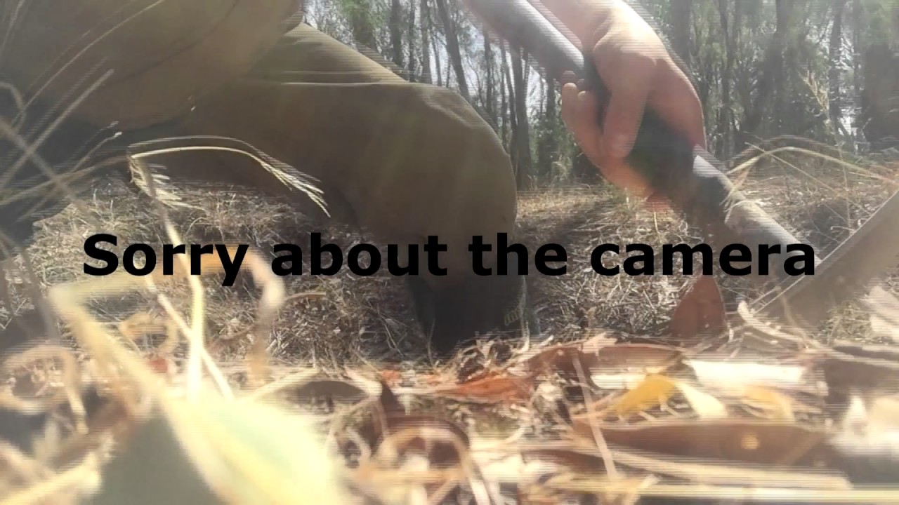 GOLD!!! SDC2300 Golden Triangle Victoria - YouTube