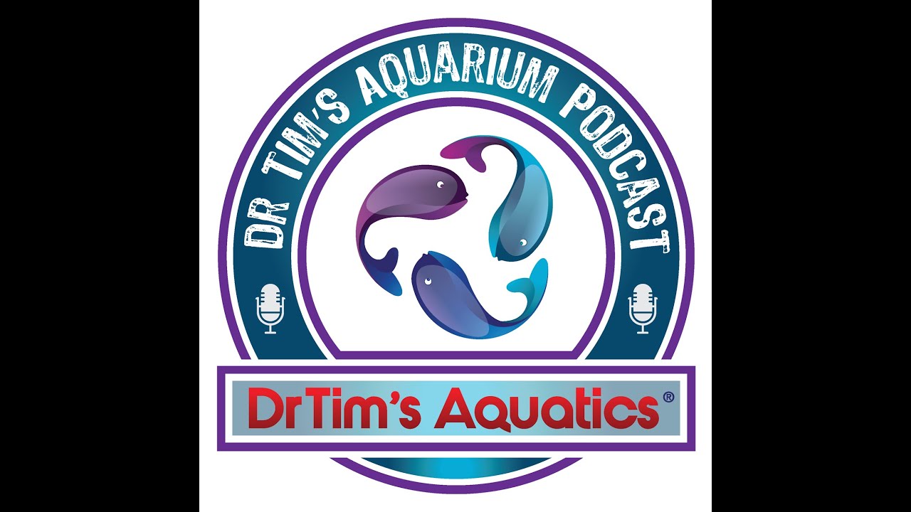 DrTim's Aquatics medias - YouTube