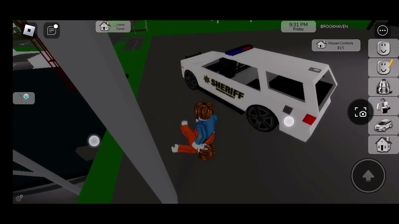 roblox Brookhaven criminal death - YouTube