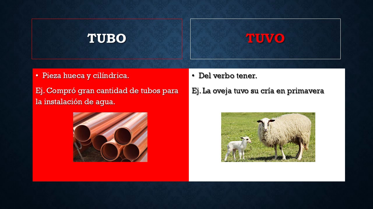 Palabras Homófonas: Palabras con sonido parecido y significado ...