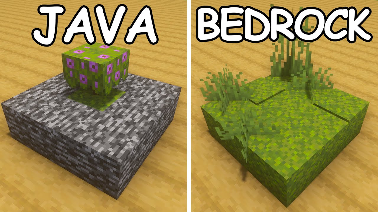 Java vs Bedrock: what moss can destroy - YouTube