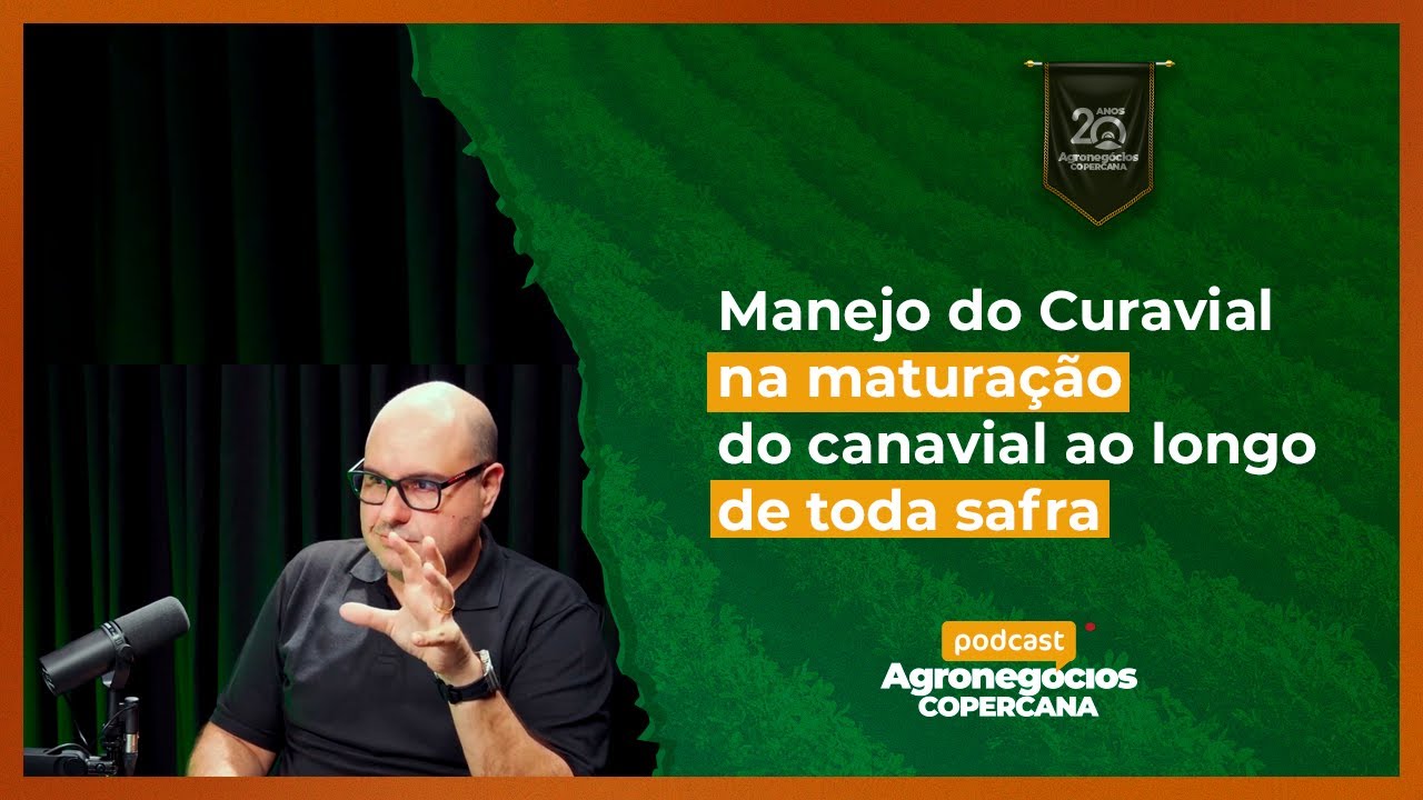 Manejo do Curavial na maturação do canavial ao longo de toda safra ...
