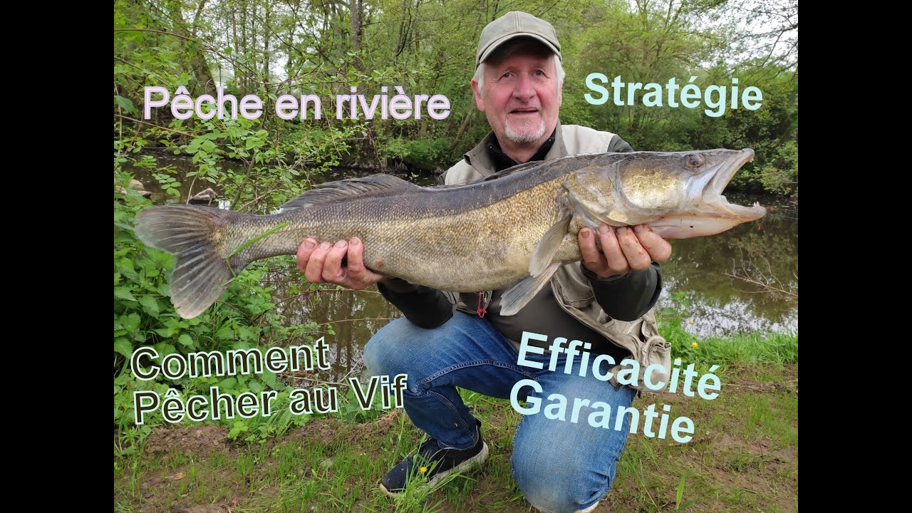 Comment Pêcher de façon efficace au Vif - YouTube