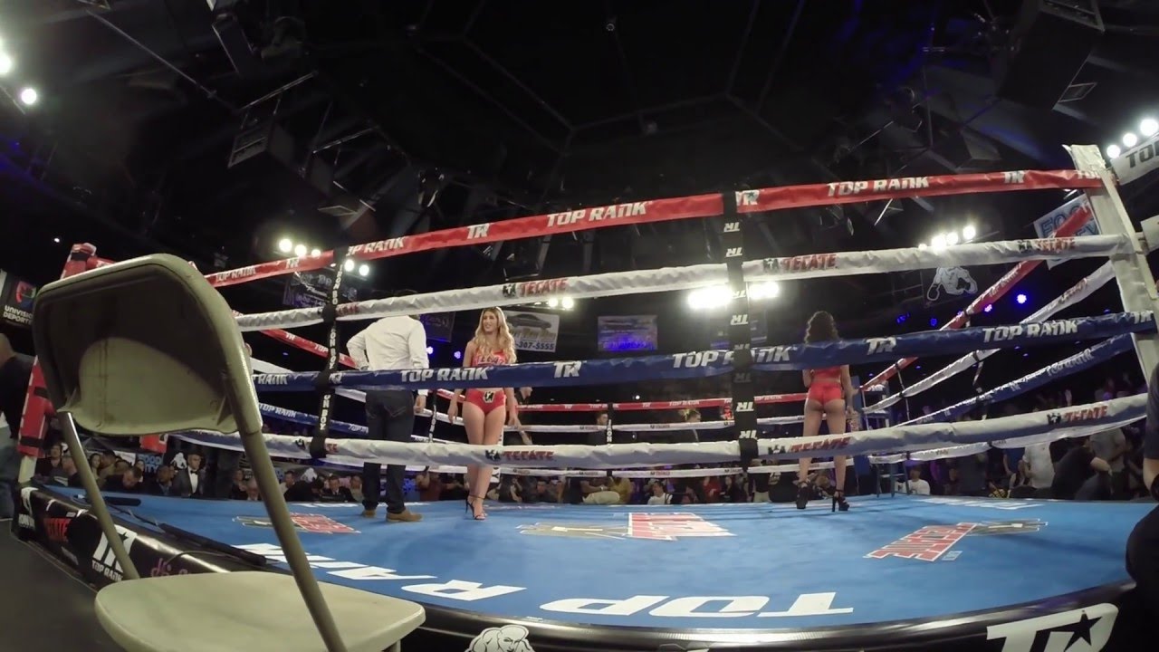 🍺Tecate Ring Girls in 4K!🍺 - YouTube