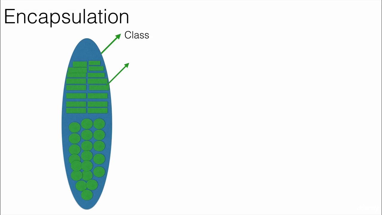 Java Object Oriented Concepts - Encapsulation - YouTube