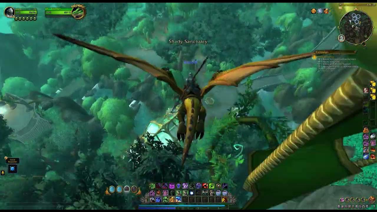 Shady Sanctuary, WoW Dragonflight Quest - YouTube