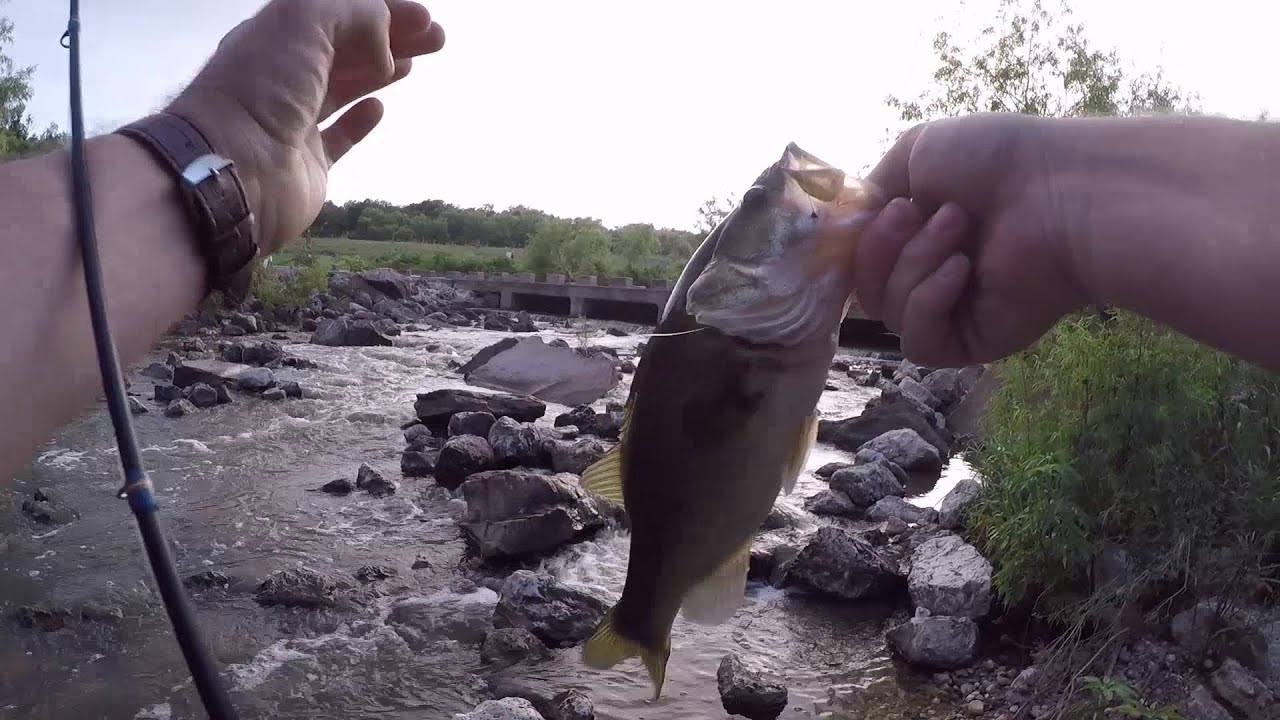 Rush Hour Fishing In The Rain - YouTube
