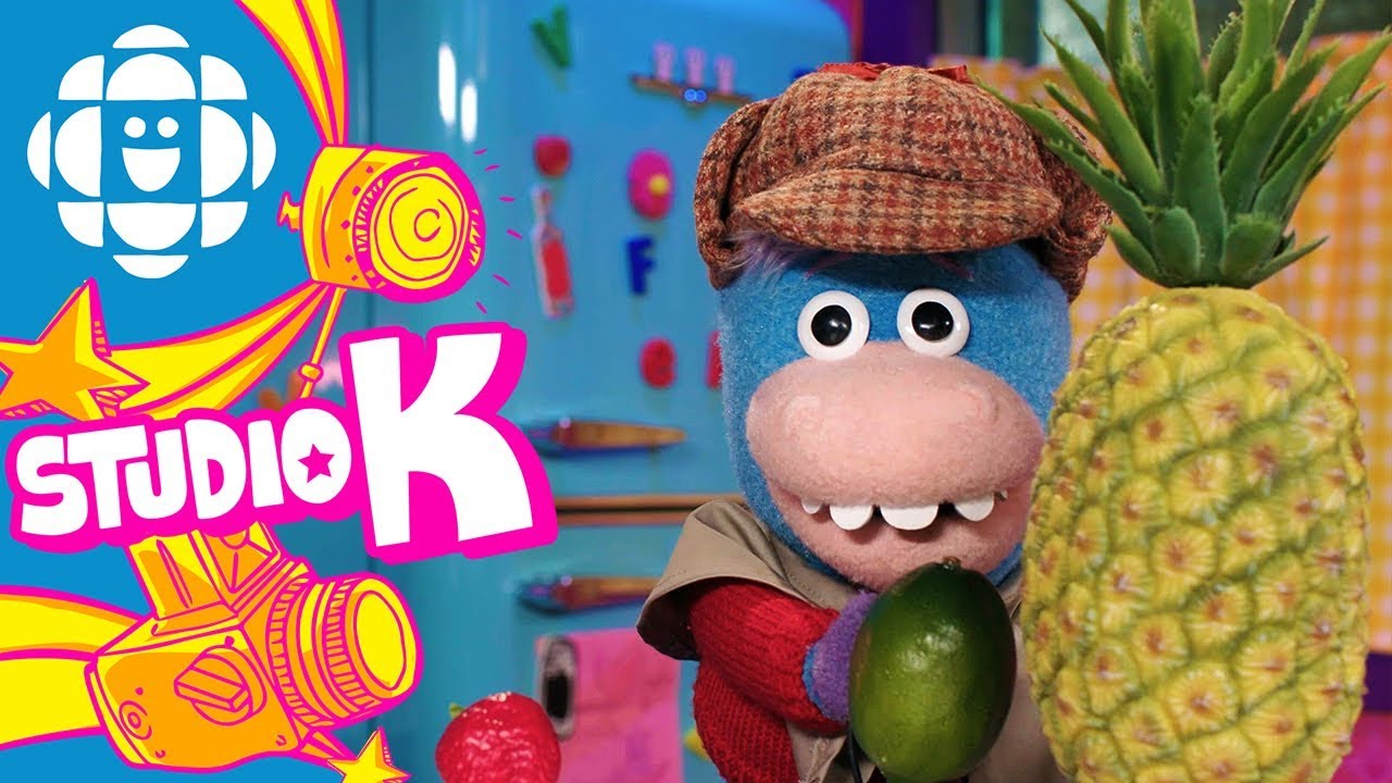Studio K: Law & Out of Order: Small to Big | CBC Kids - YouTube