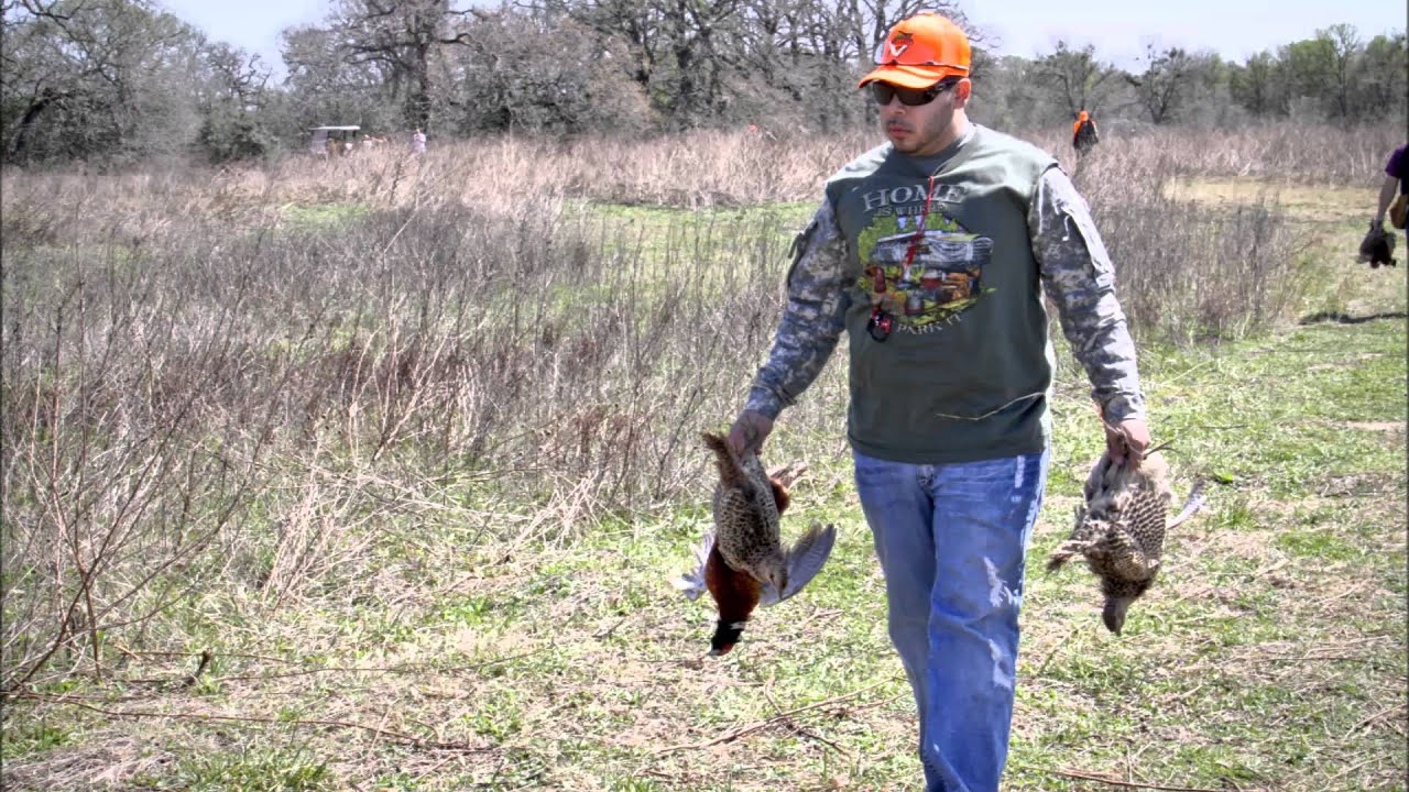 Wounded Warriors Pheasant Shoot at Quail Hunt DimeBox - YouTube