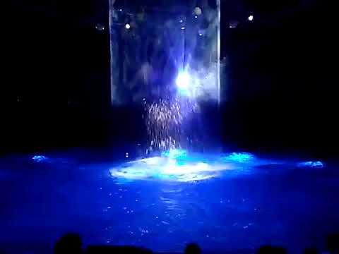 Prinsa Dangol: Watching Dolphin dancing show - YouTube